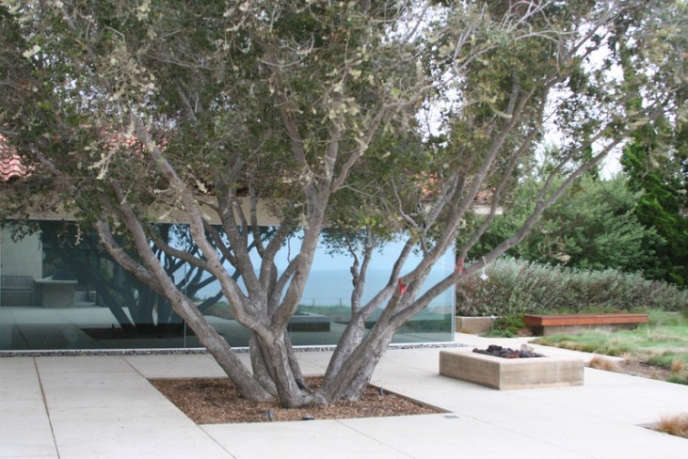 5 Favorites: Decks Built Around Trees - Gardenista