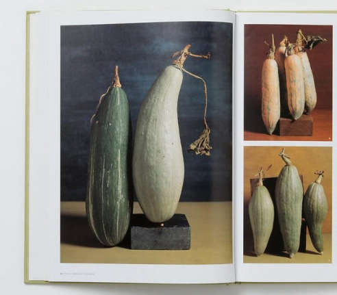 Required Reading: The Compleat Squash - Gardenista