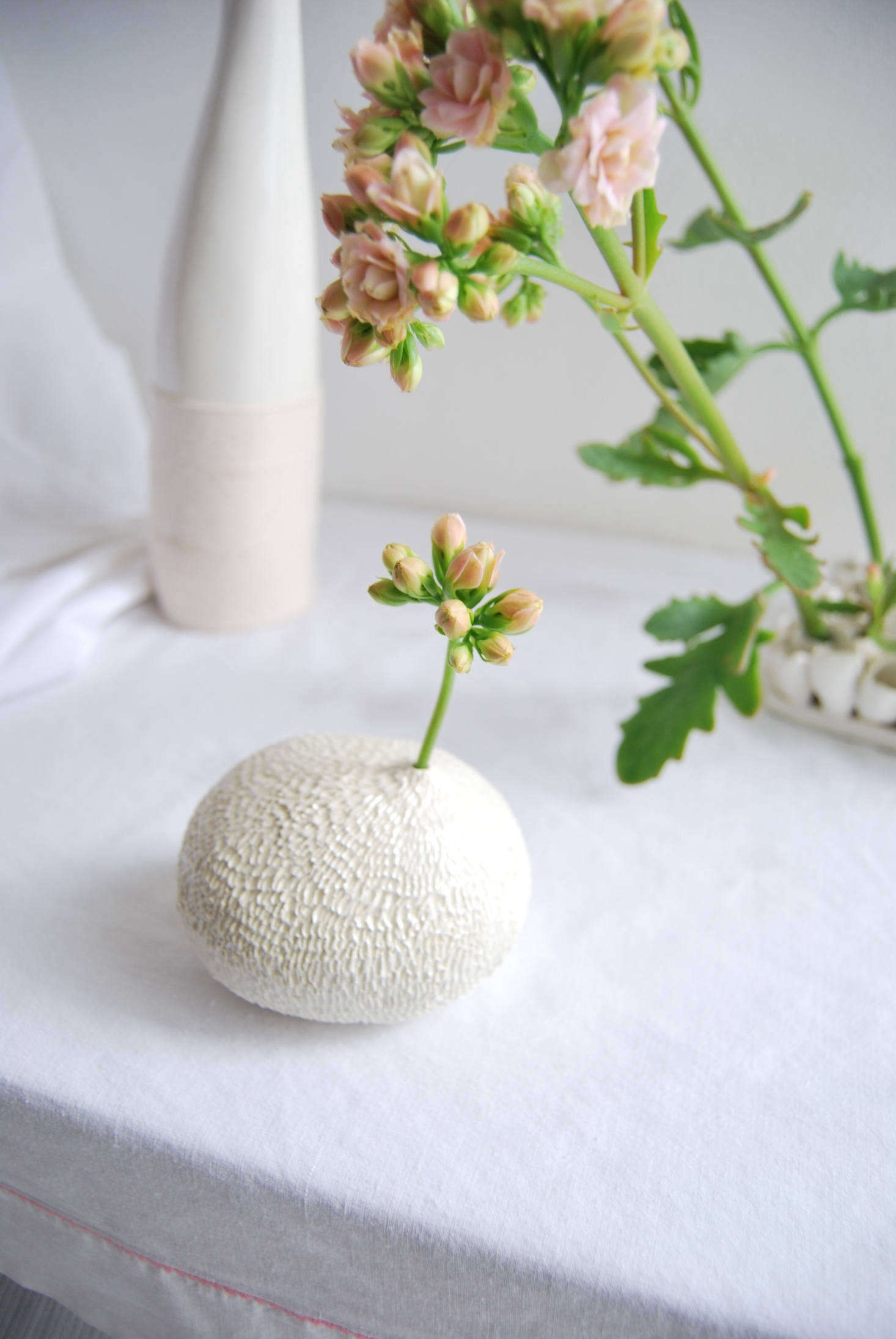 The Best Single-Stem Bud Vases Chosen by the Gardenista Editors