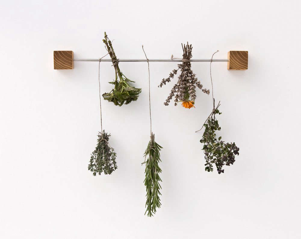A Clever Kitchen Herb Rack from Austria - Gardenista