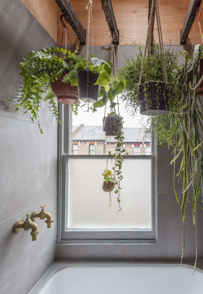 Sky's the Limit: 5 Indoor Plants for Rooms with High Ceilings - Gardenista