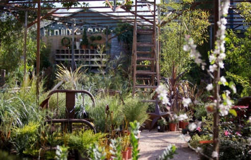 Shopper's Diary: Flowerland in SF's East Bay - Gardenista