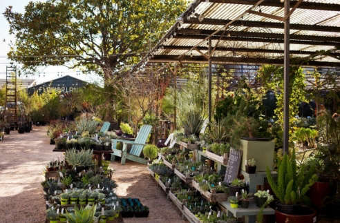 Shopper's Diary: Flowerland in SF's East Bay - Gardenista