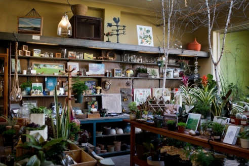 Shopper's Diary: Flowerland in SF's East Bay - Gardenista