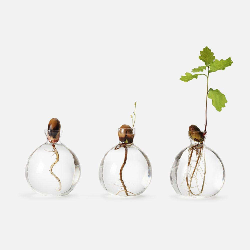 10 Easy Pieces: Lab Glass Vases - Gardenista