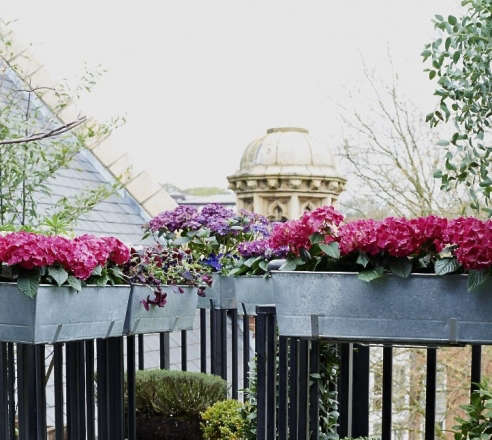 Hardscaping 101: Window Boxes - Gardenista