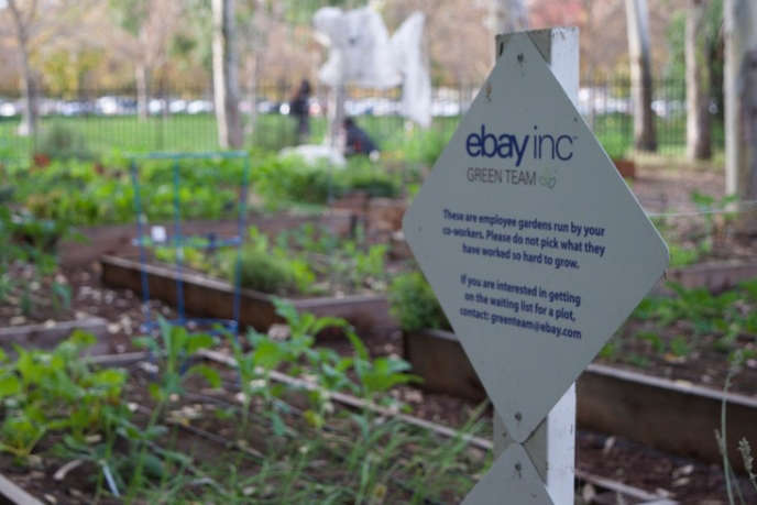Hardscaping 101: Drip Irrigation - Gardenista
