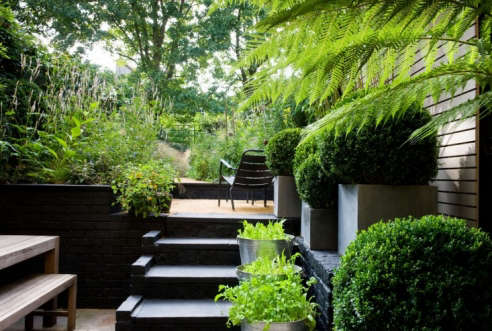 Designer Visit: The Black and Green Garden of Chris Moss - Gardenista