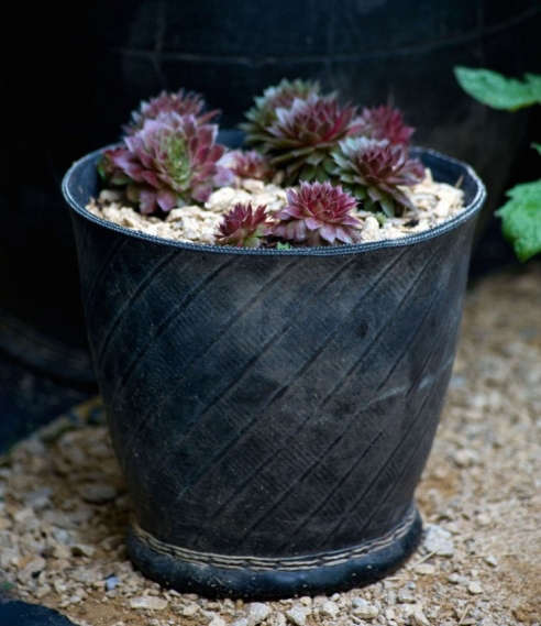 Designer Visit: The Black and Green Garden of Chris Moss - Gardenista