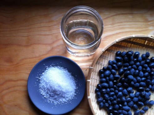 Olive Trees: Everything You Need to Know About Growing Them