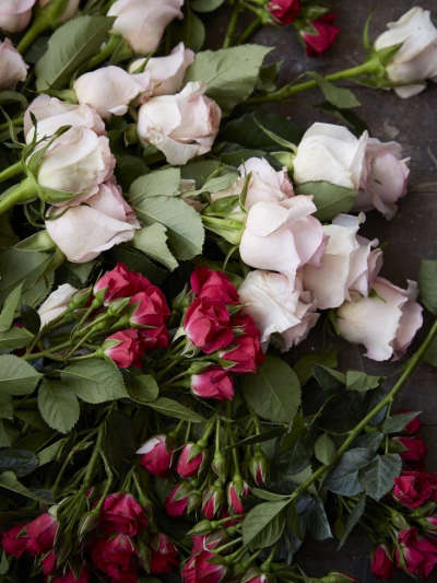 The Best $50 Valentine's Roses You Can Order Online - Gardenista