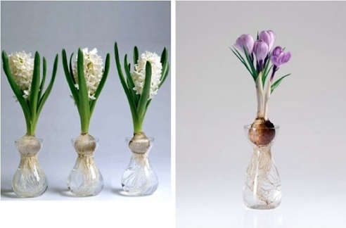 10 Easy Pieces: Bulb Vases - Gardenista