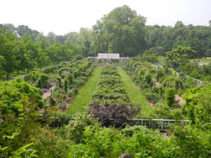 Taking 'Bread and Roses' Literally in Brooklyn - Gardenista