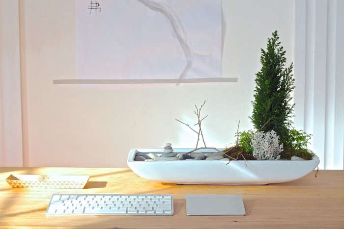 DIY: A Desktop Zen Garden - Gardenista