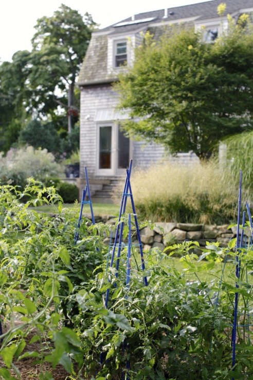 Garden Visit: At Home in Rhode Island with Painter Georgia Marsh ...