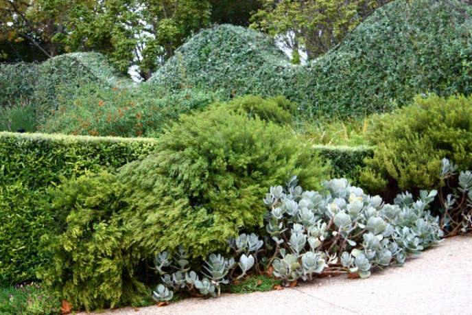 Hardscaping 101: Hedges - Gardenista