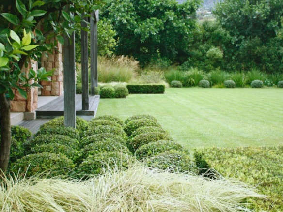 How to Successfully Grow Maiden Grass: A Field Guide to Planting, Care ...