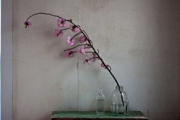 Spring Preview: How to Force Flowering Branches to Bloom Indoors ...