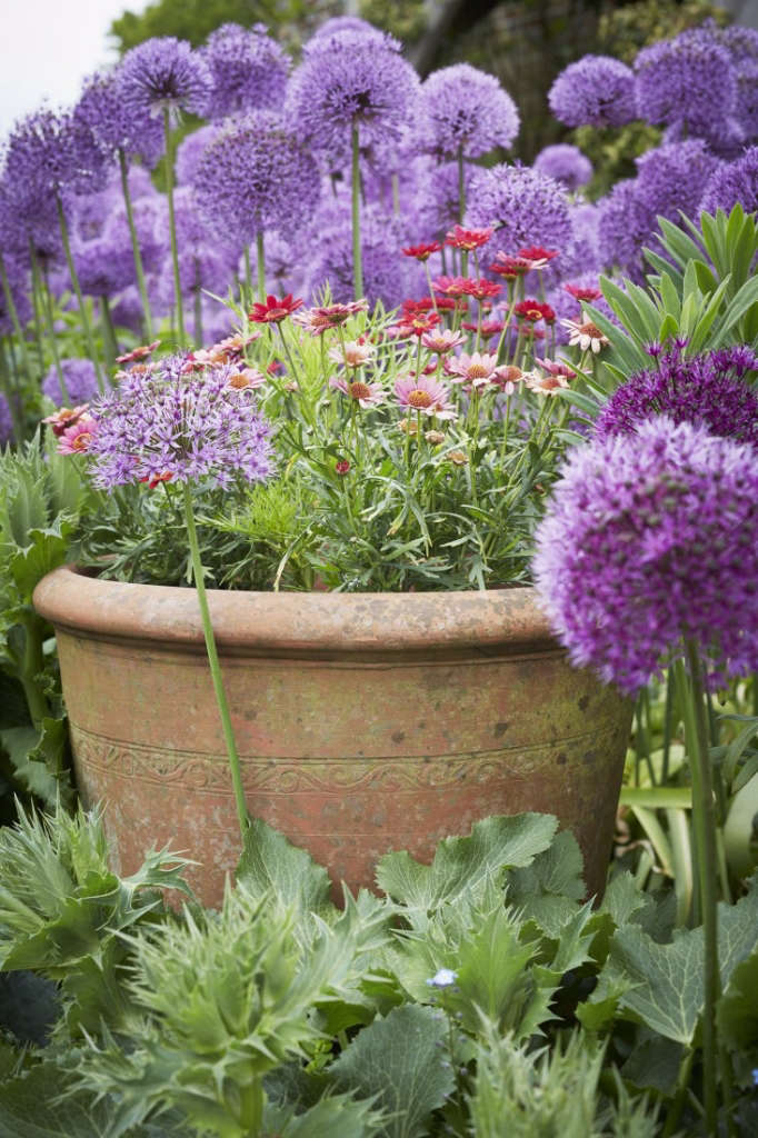 Garden Visit: Sarah Raven's Perch Hill - Gardenista