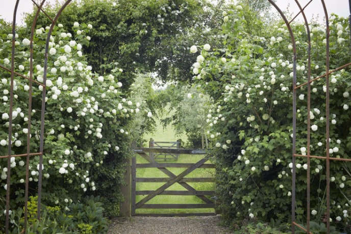 Garden Visit: Sarah Raven's Perch Hill - Gardenista