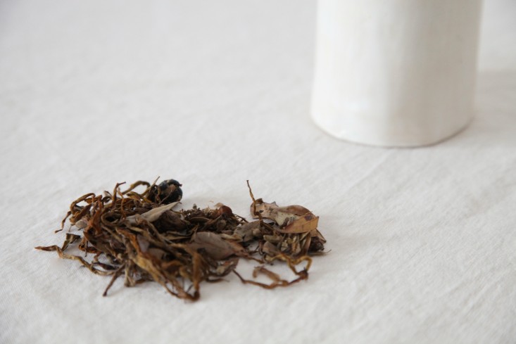 Modern Potpourri: The Irresistible Fragrance of a Rotten Pot - Gardenista
