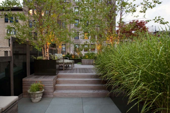 Hardscaping 101: Landscape Uplighting - Gardenista