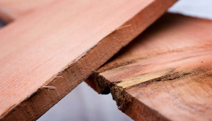 DIY Window Boxes: Build It Yourself for a Perfect Fit - Gardenista