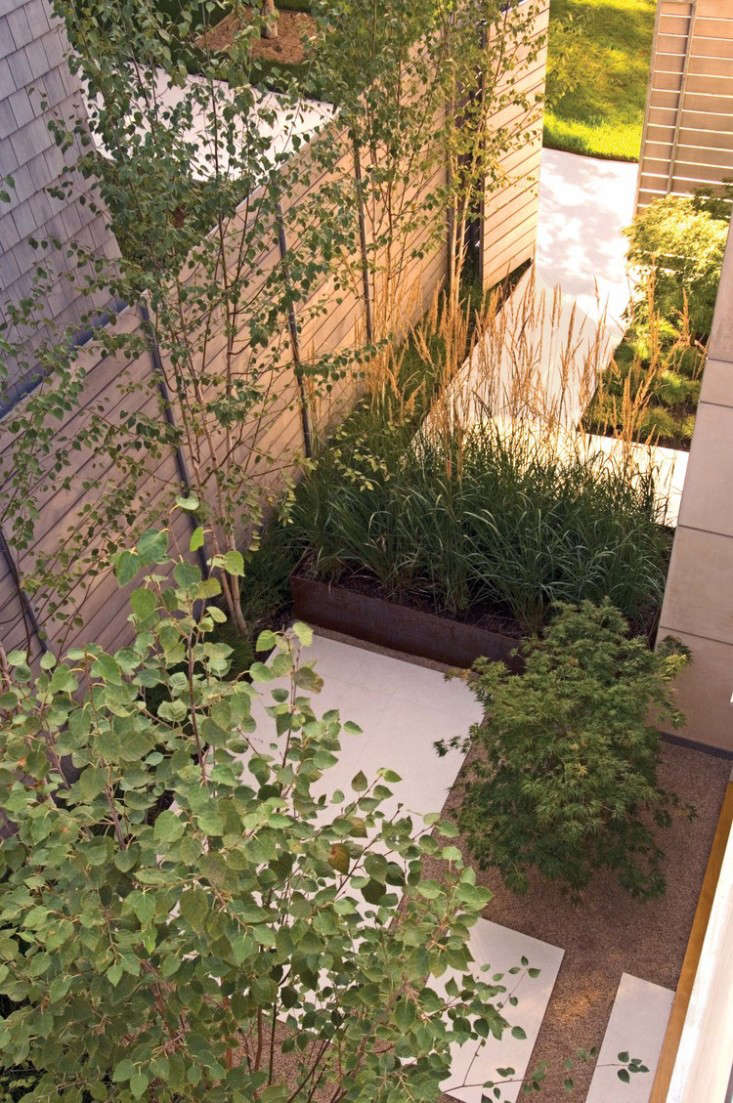 Garden Visit: Andrea Cochran's Courtyard Vignettes - Gardenista