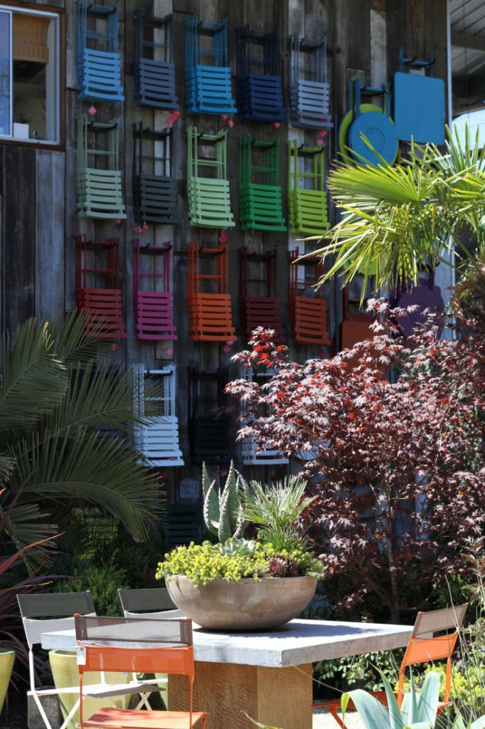 From Flora Grubb Gardens: 9 Secrets to Growing Succulent Plants Indoors ...
