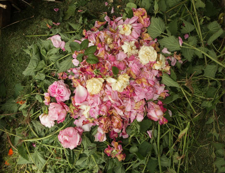 Composting: Are You Obsessed? - Gardenista