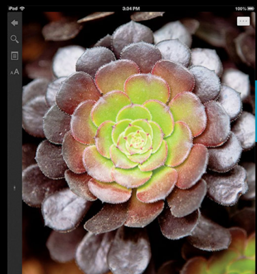 The Top 10 Gardening Apps You Need Now - Gardenista