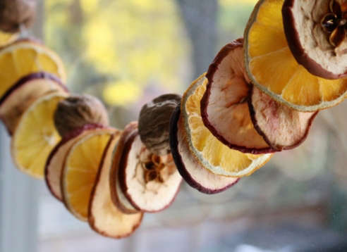 DIY: A Dried Fruit Garland for the Holidays - Gardenista