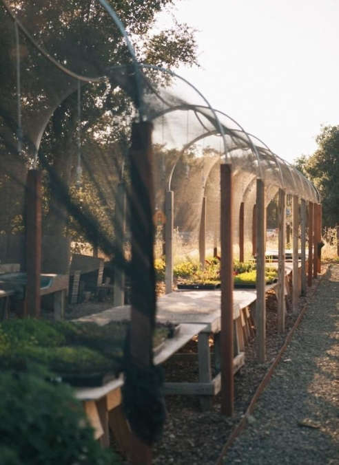 10 Ideas to Steal from Chefs' Gardens Around the World - Gardenista