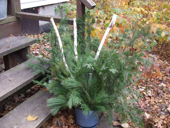 Browse the Blue Skies Forever Retailer Collection on - Gardenista