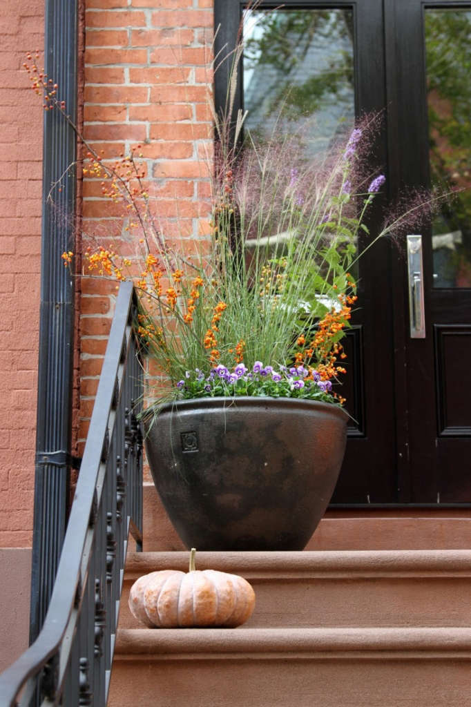 Hardscaping 101: Front Stoops - Gardenista