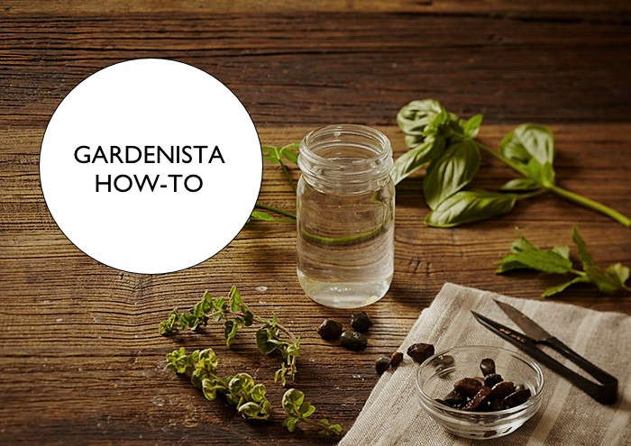 Gardening 101: How to Root Herbs in Water - Gardenista