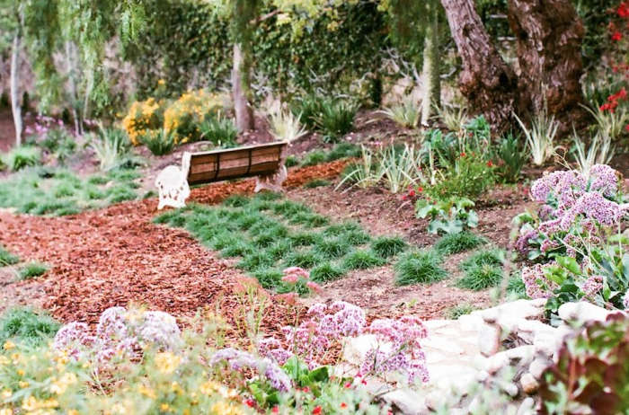 Landscape Designer Visit: Malibu Makeover by Matthew Brown - Gardenista