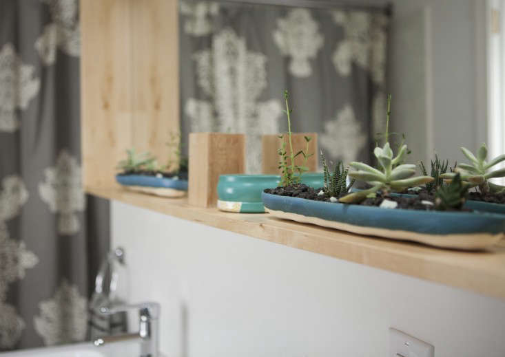 Confessions of a Repentant Plant Assassin: 6 Ways to Revive Neglected ...