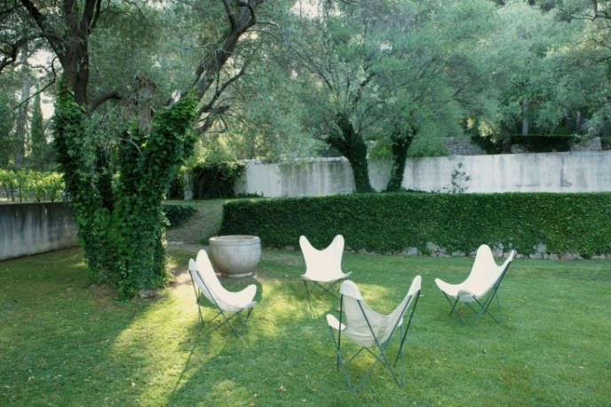 Genius Garden Ideas: 10 Landscapes with Olive Trees - Gardenista