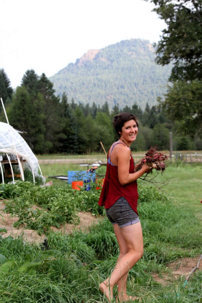 Gardening 101: Beets - Gardenista