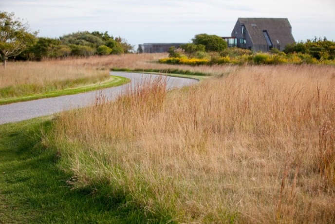 Seaside Gardening: 10 Ideas for Serene Coastal Landscapes - Gardenista