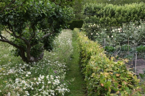 Landscape on a Budget: 13 Ideas for Mown Grass Paths - Gardenista