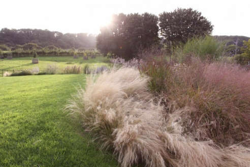 Gossamer Gardens: 12 Ideas for Landscaping with Mexican Feather Grass ...