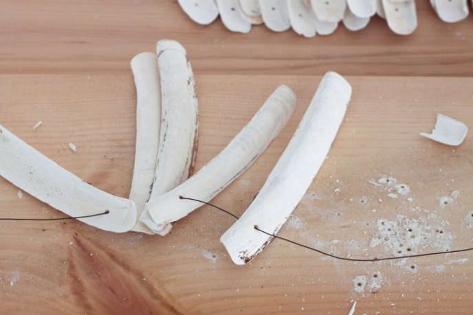 DIY: Razor Clam Pendant Light - Gardenista