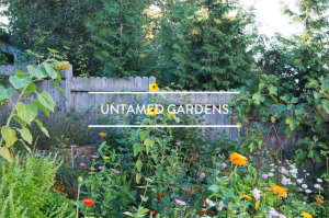 Table of Contents: Untamed Gardens - Gardenista