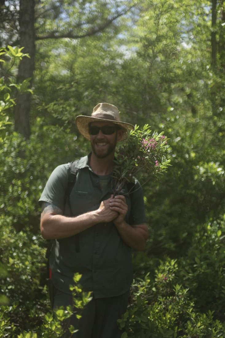 Uli Lorimer: An Interview with the Director of Horticulture at Native ...