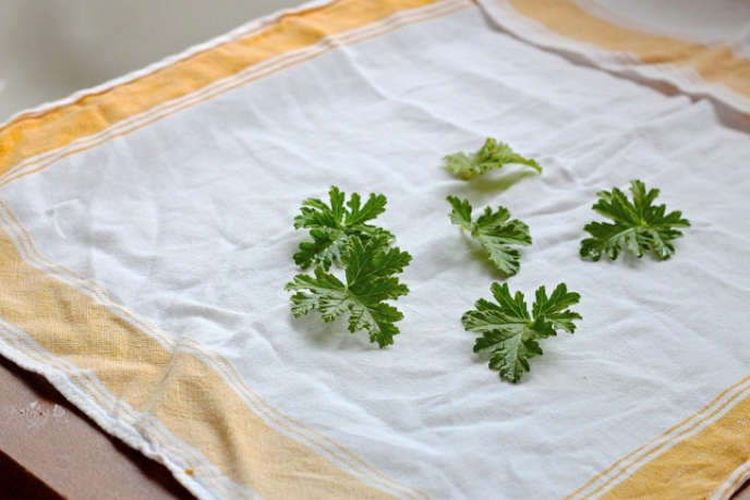 Recipe: Tea Cake with Meyer Lemons and Rose Geraniums - Gardenista