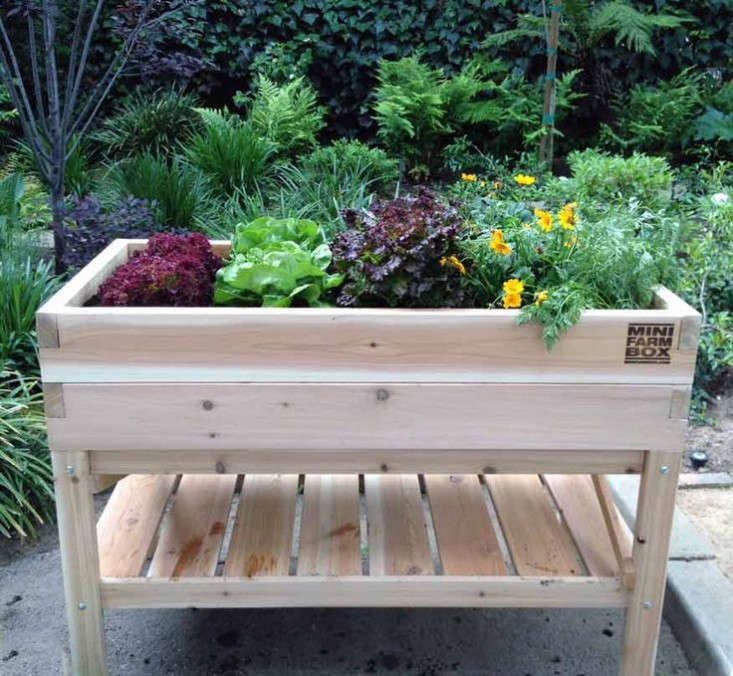 Your First Garden: 10 Compelling Reasons to Start a Container Garden