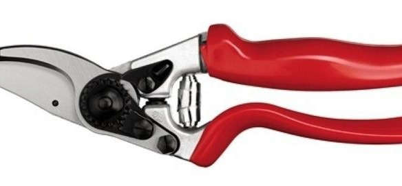 Browse the The Felco Store Retailer Collection on - Gardenista