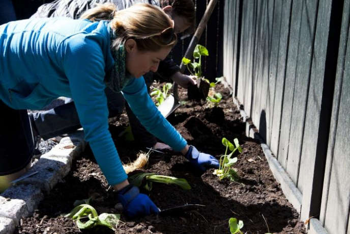 How to Crowd Source a Garden: Throw a Party, Serve Brunch, and Hand Out ...